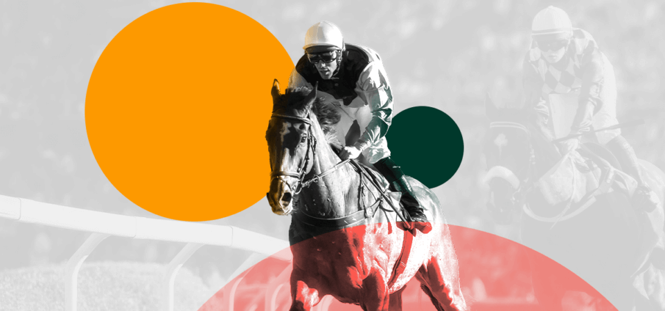 Horse Racing Tracks, Ground Types and Draw Explained – Betting.com GB
